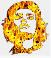 Call 911 - Your Hair on Fire!